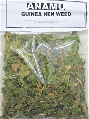 Anamu - Guinea Hen Weed - Dried - 30 Grams Pack – Botanica las Americas