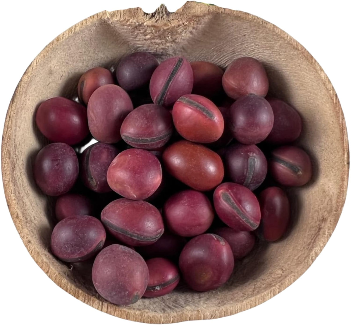 SEMILLA DE MATE – Botanica las Americas