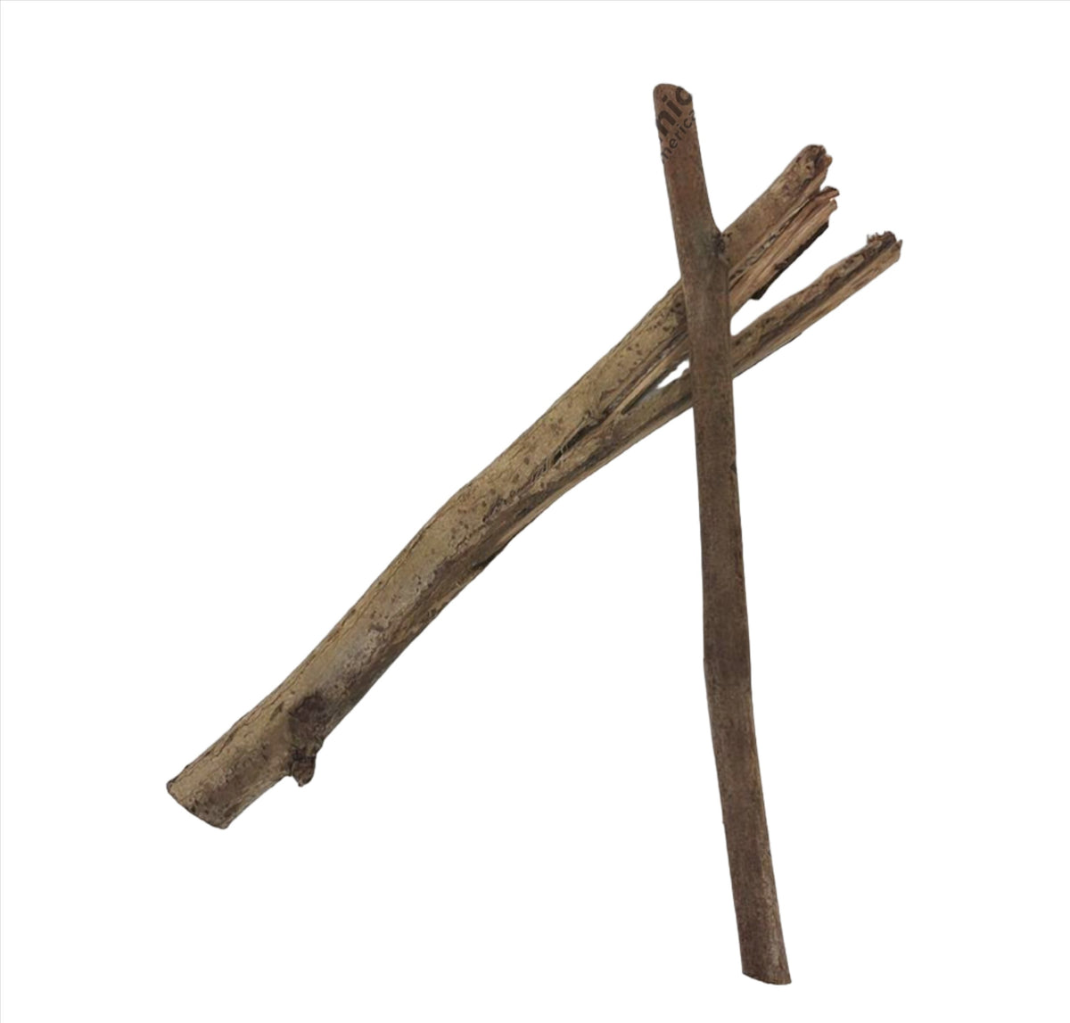 Palo Jala Jala – Botanica las Americas