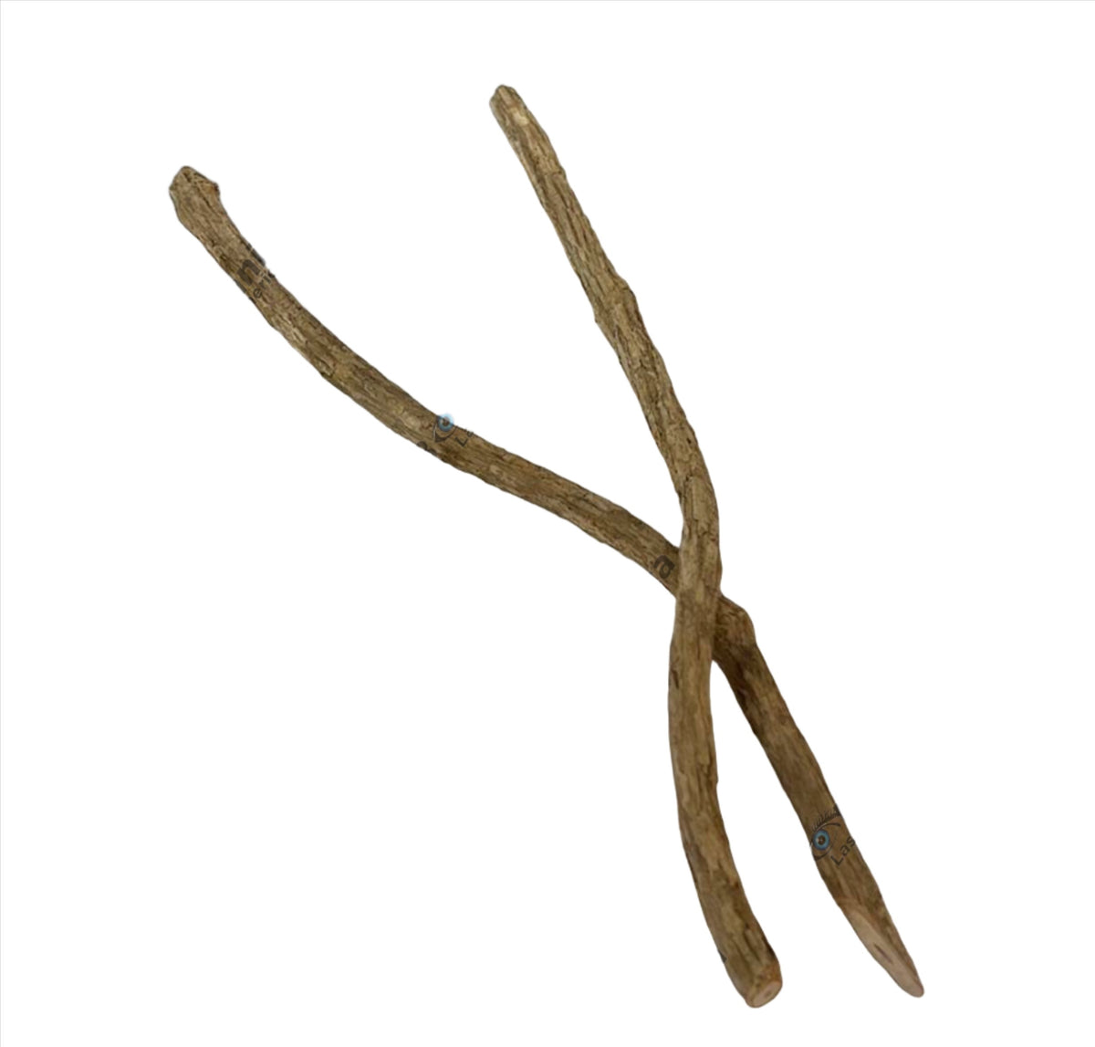 Palo Muralla – Botanica las Americas