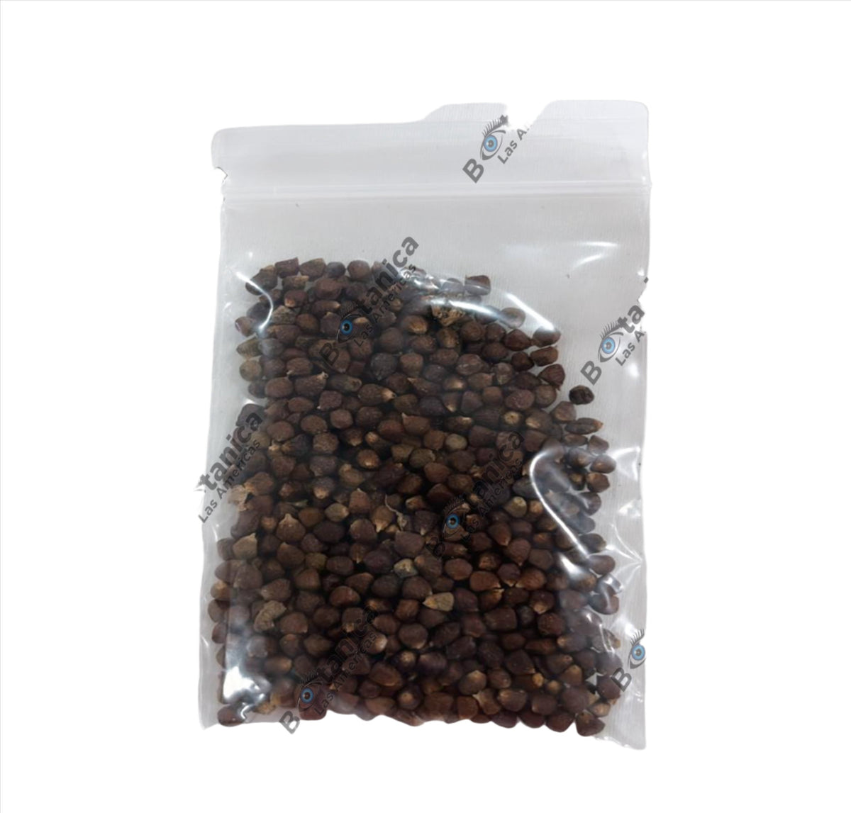 PIMIENTA DE GUINEA (2OZ) – Botanica las Americas