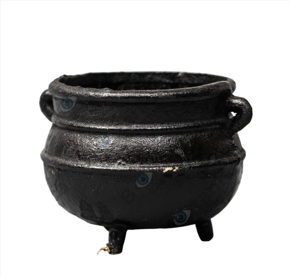 CALDERO DE HIERRO / IRON PAD # 2 – Botanica las Americas